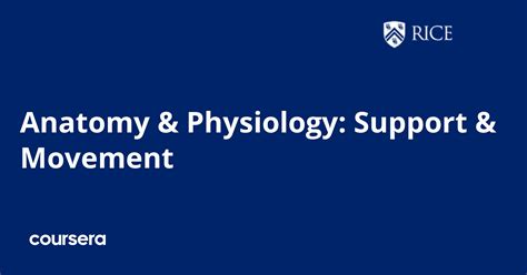 Anatomy And Physiology Support And Movement Coursera