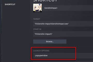 Hidcerberus Srv Exe