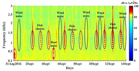 The Spectrogram Is Showing The Different Sound Events In Shallow Waters
