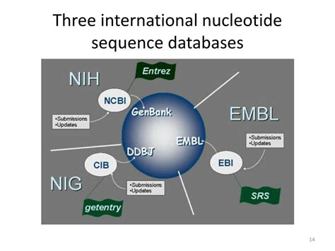 Nucleotide Ncbi