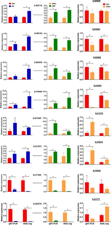 Validation Of Gene Expression By Qrt Pcr Bold Genes Represent