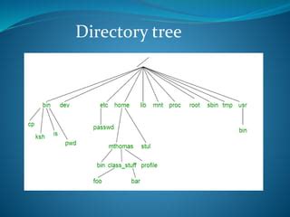 Unix Linux File System In Operating System Ppt