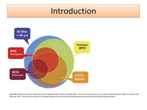 Medical Management Of Bph Ppt