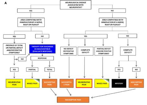 Part A Diagnostic Algorithm Part B Diagnosis Of Nociceptive Pain