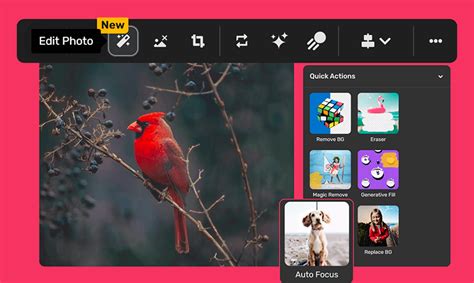 Auto Focus Photo Editor Online Explore Our Auto Focus