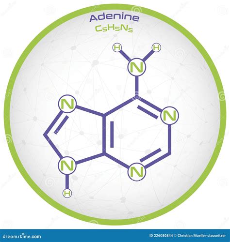Infographic Of The Molecule Of Adenine Stock Vector Illustration Of