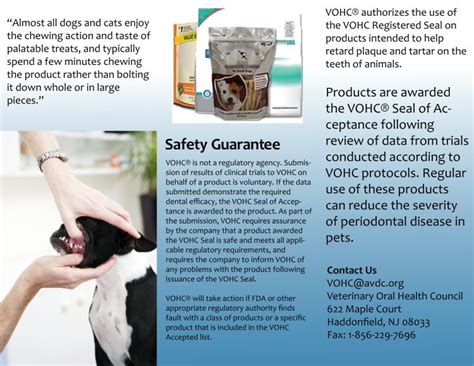 Comprehensive Guide To Vohc Veterinary Oral Health Council Cat Empire
