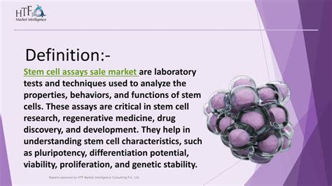 Proliferation Assay