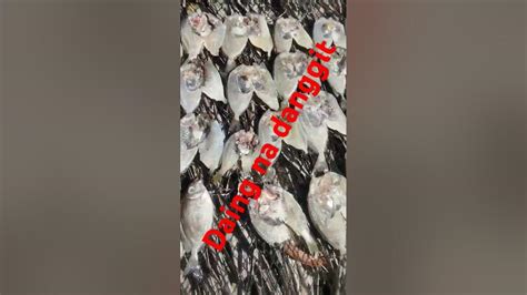 Daing Na Danggit Youtube