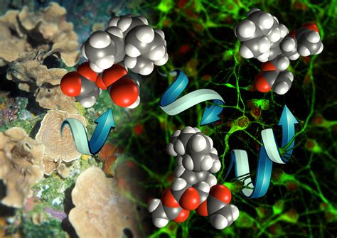 Pharmacophore Directed Retrosynthesis Intertwining Natural Product