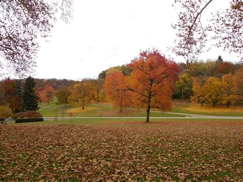 Fall Colors Background Free Stock Photo Public Domain Pictures