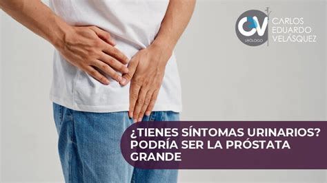 Tratamiento Para La Cistitis Prevención Y Tratamiento