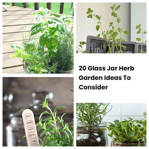 20 Glass Jar Herb Garden Ideas To Consider SharonSable