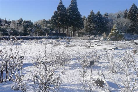 佐倉ハーブ園