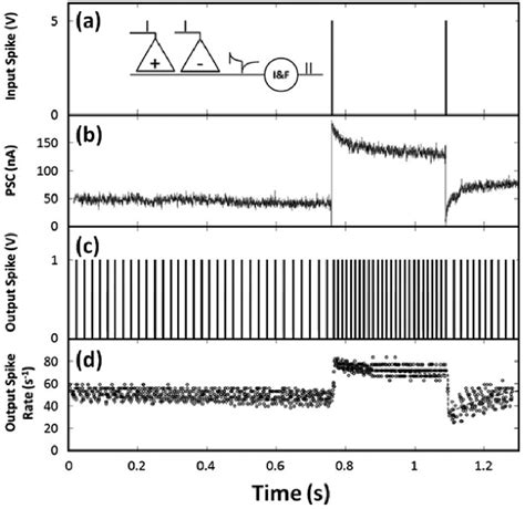 a a pair of input spikes with time interval of 328 ms applied