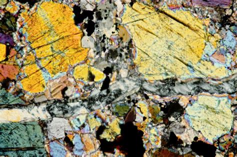 Hornblende Schist Thin Section