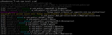 linux安装pm2 油麦菜大佬 博客园