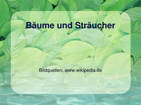 PPT Bäume und Sträucher PowerPoint Presentation free download ID