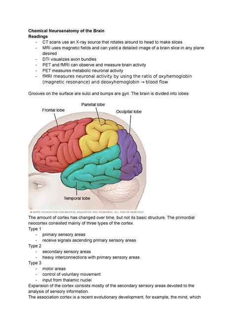 Chemical Neuroanatomy Of The Brain Chemical Neuroanatomy Of The