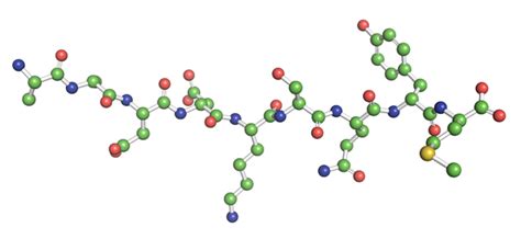 Peptideconstructor 一个简单的多肽建模库 知乎