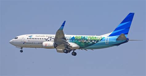 가루다 가루다 인도네시아 공중 교통 국제 항공사 글로벌 여행 기내 기내 서비스 기도 꼬리 날개 날으는 대중