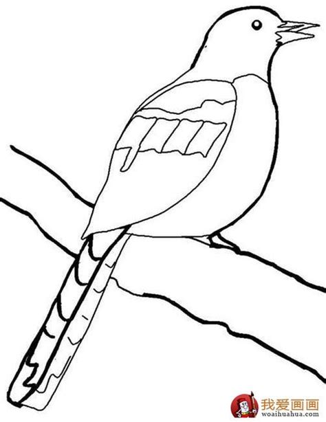 梅花树上有喜鹊的简笔画 简笔画图片大全 蒲城教育文学网