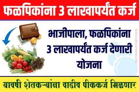 Farmer Loan Scheme भाजीपाला फळपिकांना 3 लाखापर्यंत कर्ज मिळणार पहा