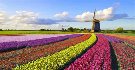 Docker Expands Compose For Agent Development And Ties In Cloud Offload Support Infoq