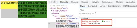 BFC块级格式化上下文 闯入码途的水产人 博客园