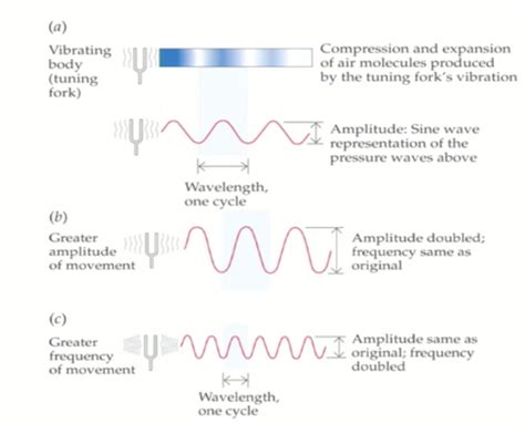Perception Lecture 12 Flashcards Quizlet