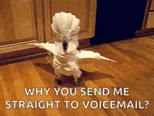 Voicemail S Tenor