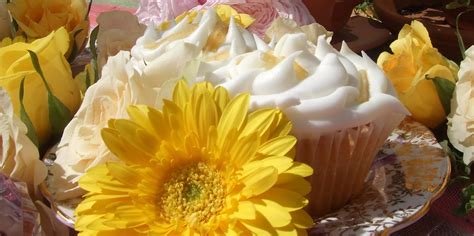 Cupcakes And Conversation With A Royal Ballet Dancer Ballet News