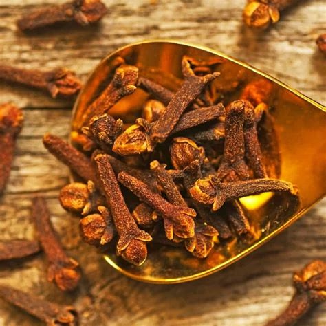 What Are Cloves Heres Your Guide To This Versatile Worldly Spice