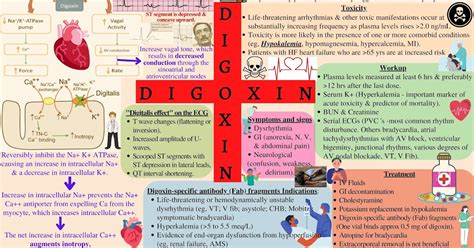 Digoxin Cardiac Glycoside Medical Infographics