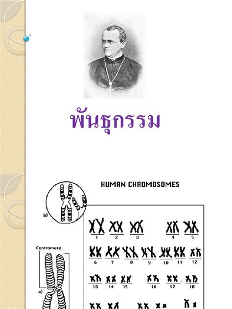 U3 2taitord Ppt Pdf