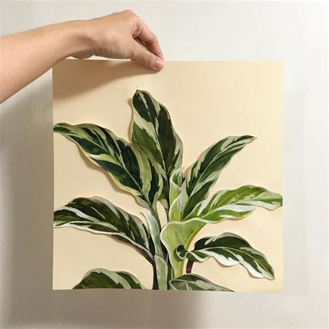 일러스트레이터 전유리 On Instagram 자연이 만들어준 색 칼라데아 퓨전화이트 • 삼원칼라 52번 크림색 120g • 수채화 후 콜라주 삼원