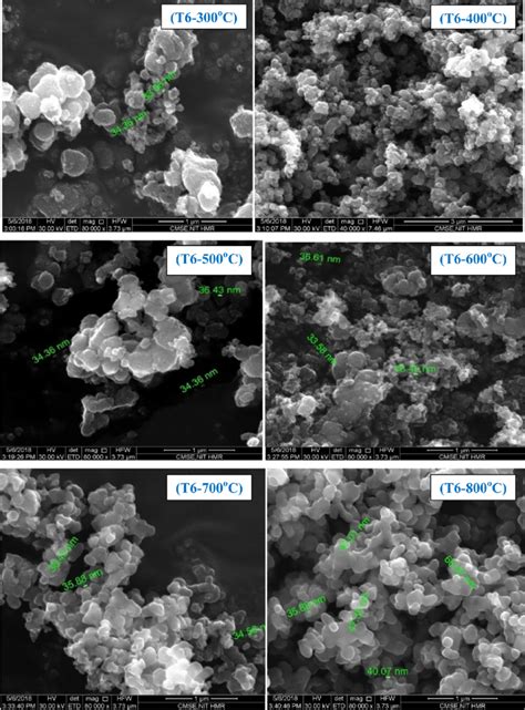 SEM Images Of TiO 2 T6 Download Scientific Diagram