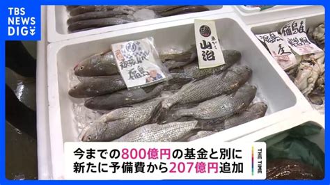 処理水めぐり水産事業者などへ1007億円支援｜tbs News Dig │ 【気ままに】ニュース速報