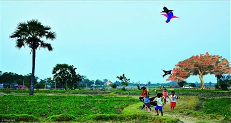 Lao xao ngày hè Duy Khán Ngữ Văn 6 CTST