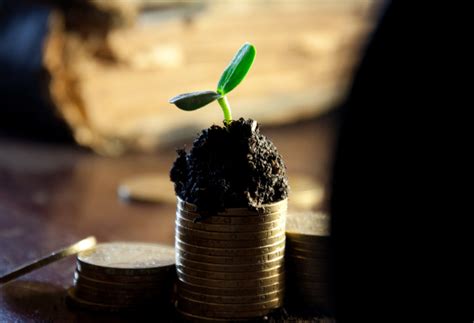 21 Universal Basic Income Pros And Cons