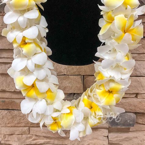 Triple Yellow Plumeria And White Dendrobium Orchid Hawaiian Lei La