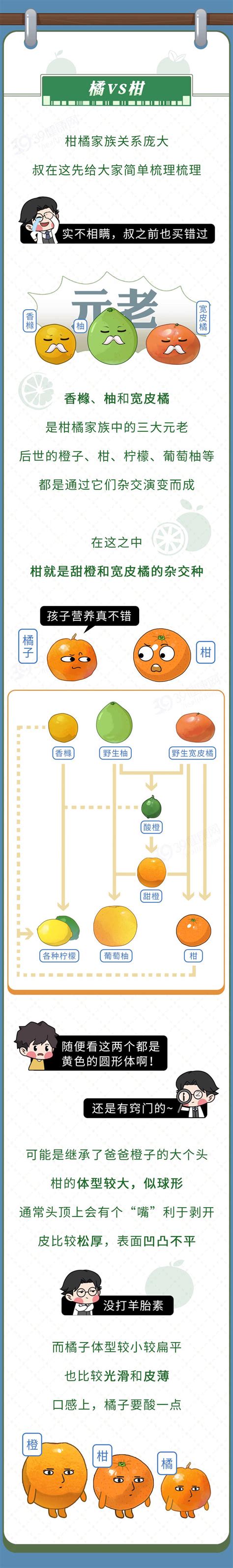 菠萝和凤梨是同一种水果吗？奇异果和猕猴桃有何区别？别再被骗了