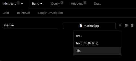 Til You Can Include Files In Insomnia Requests Abenezer Belachew