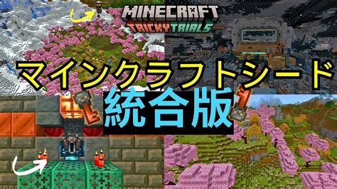 【マイクラ統合版】神シード値 121 Youtube