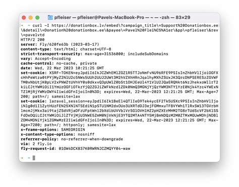 Changing X Frame Options To Allow From Doesn T Succeed In Toml File Questions Help Fly Io