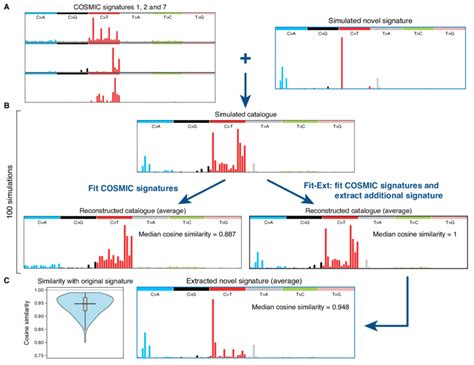 evaluation of the fit ext model on simulated mutation data a