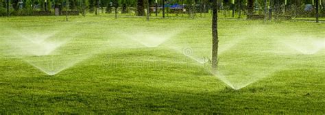 Automatic Lawn Watering System Watering The Young Green Lawn Grass In