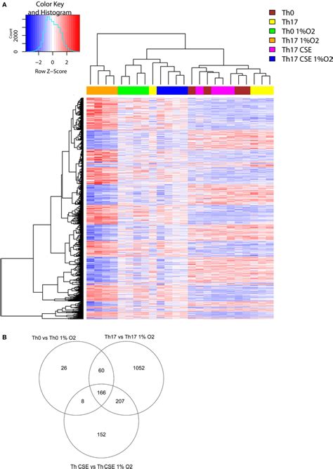 Transcription Profiles Of T Cells A Two Way Hierarchical