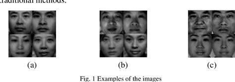 Figure 1 From Facial Gender Recognition Based On Local Gabor Binary Pattern And Orthogonal