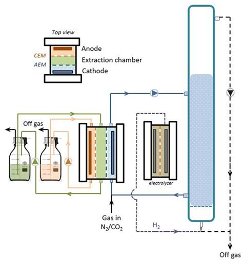 Bubble Column Reactor Setup For Simultaneous Biological Production And